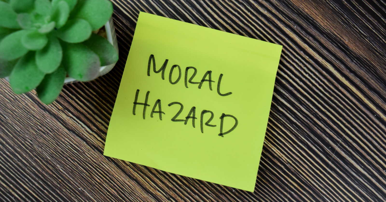 Moral Hazard: Why Actions Have Consequences | Blogs