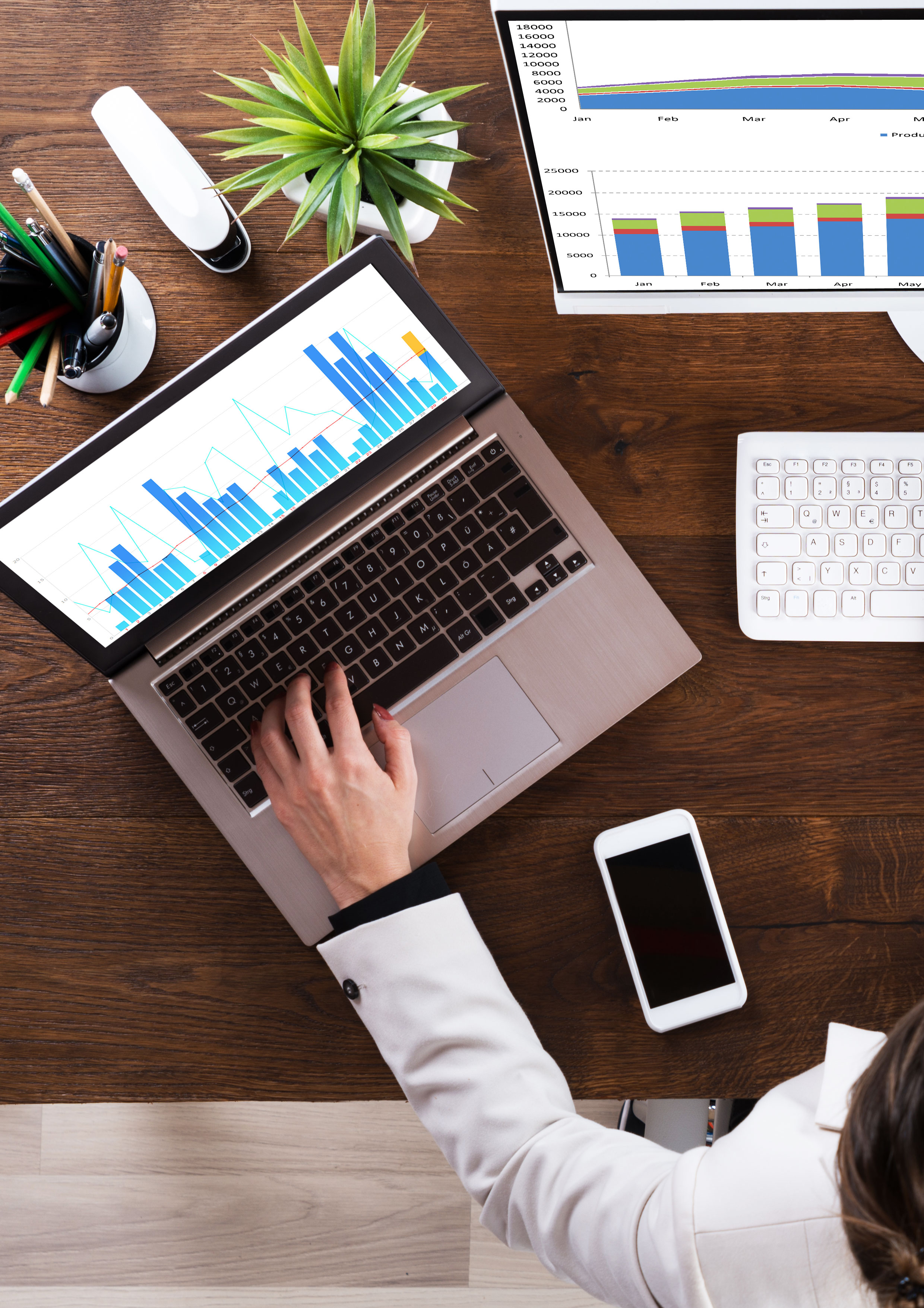 IIBA Endorsed The Effective Analyst Training Courses - Dubai | Meirc